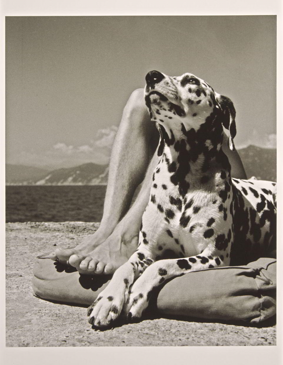 Herbert List | HERBERT LIST (1903–1975) ‘Herr und Hund’ (Master and Dog ...