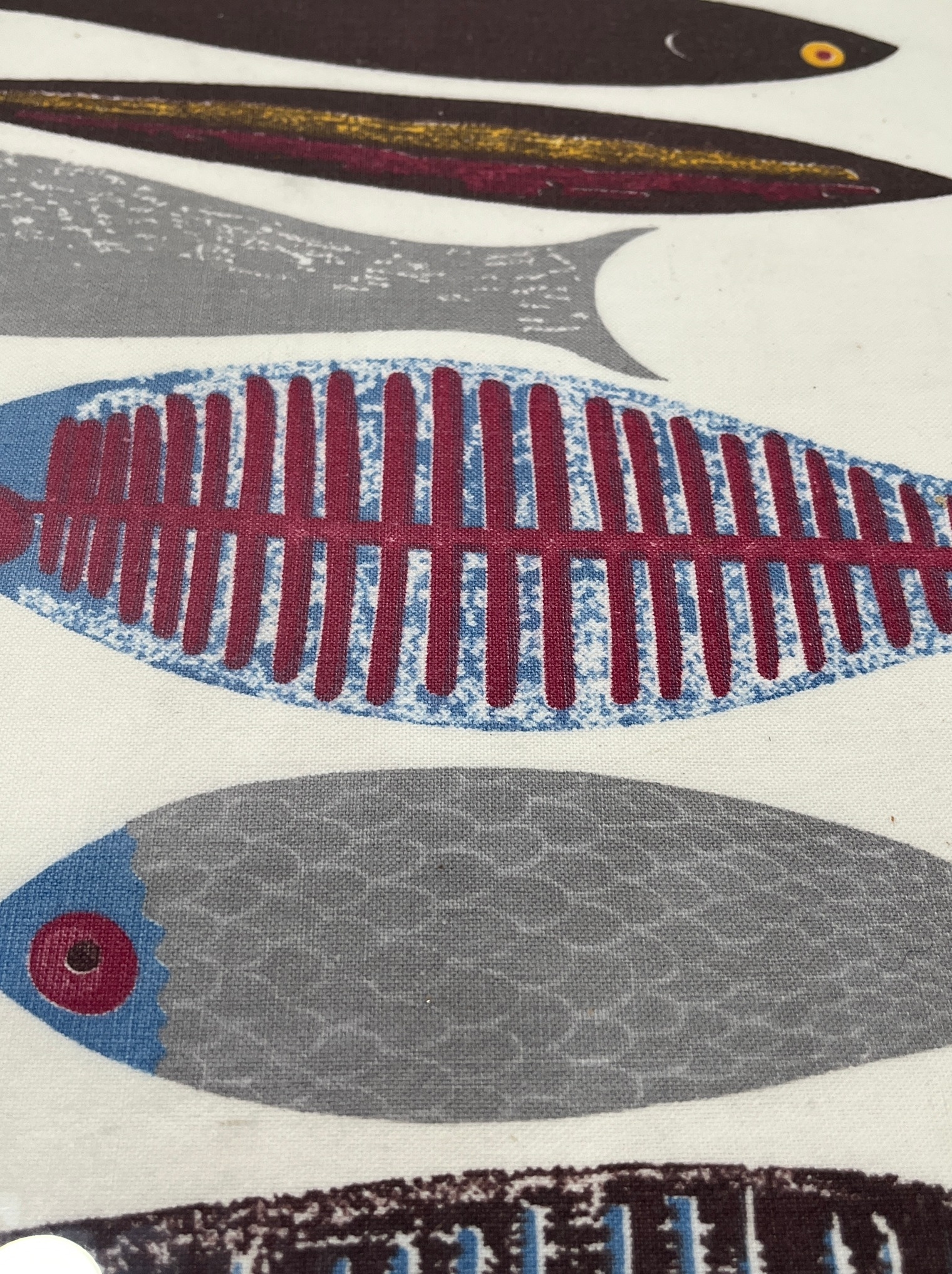 Ken Scott | A Fish Is a Fish Is a Fish | MutualArt