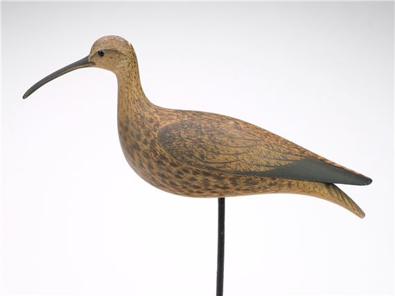 Martin Collins | Curlew | MutualArt