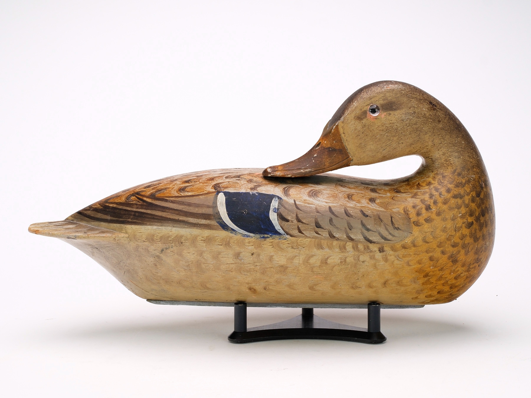 Robert Elliston | Preening mallard hen | MutualArt