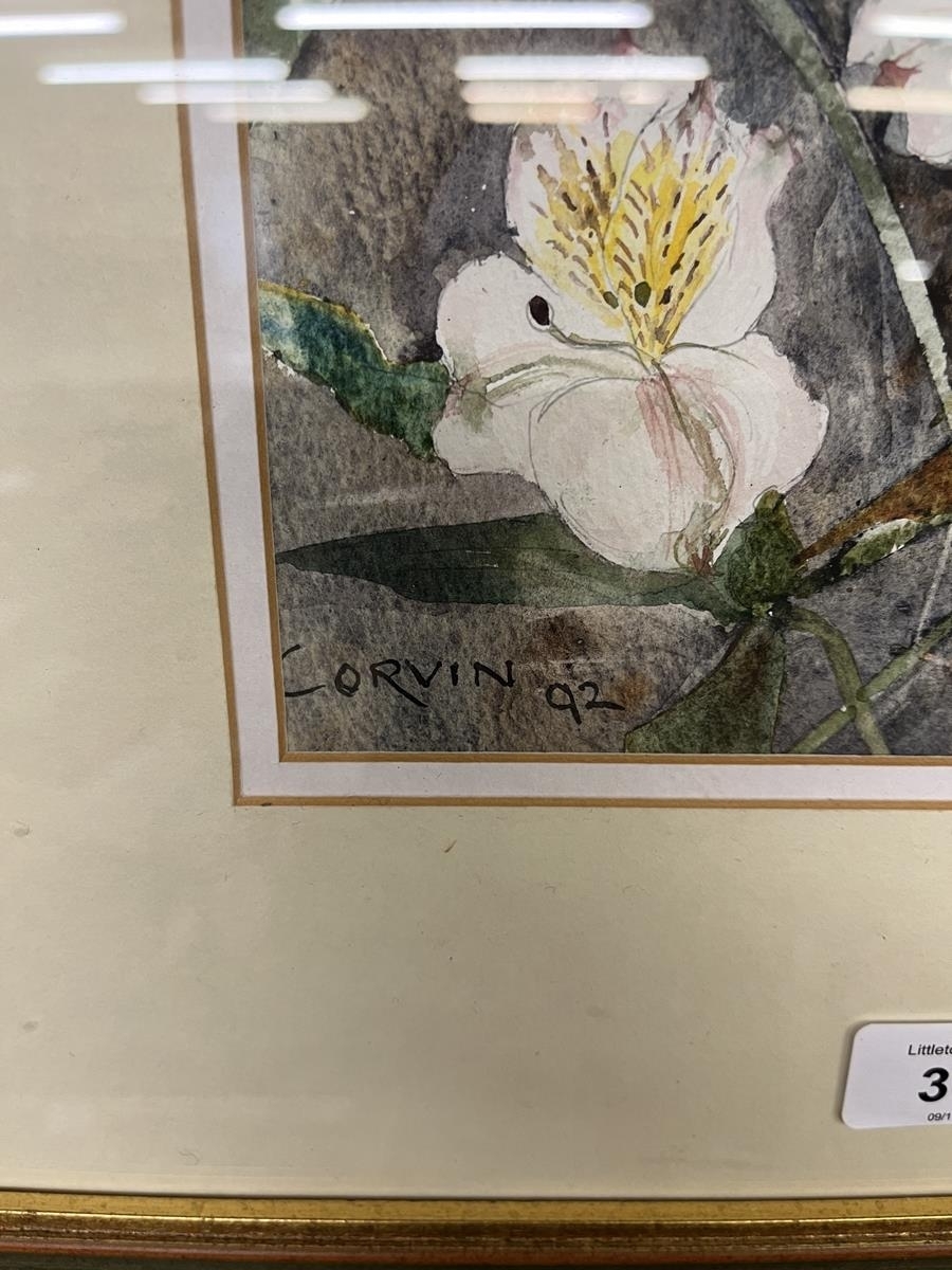 John Corvin | John Corvin watercolour - Flower study - Approx IS: 25cm ...