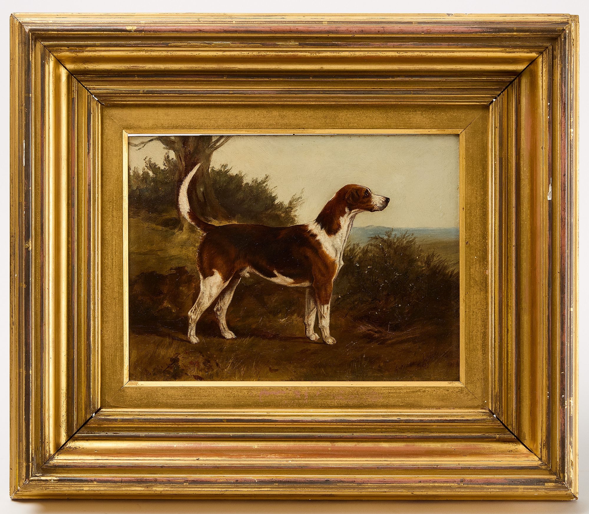 Henry Frederick Lucas-Lucas | Painting of a Foxhound | MutualArt