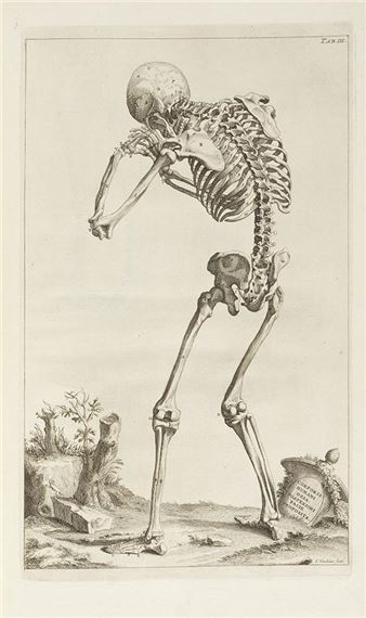Andreas Vesalius | Tabulae Ossium Humanorum (1782) | MutualArt