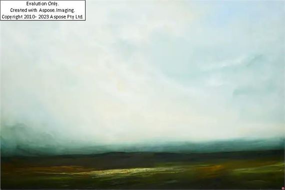 Oona Campbell | Mist on Ardnamurchan Moor (2005) | MutualArt