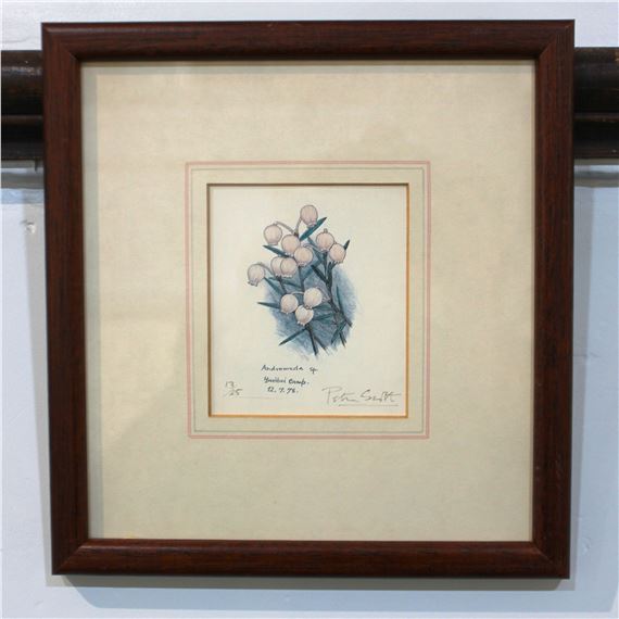 Peter Markham Scott | Andromeda | MutualArt