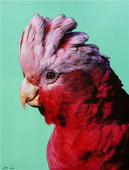 JOSE HARO | 'The Clown' (2024) | MutualArt