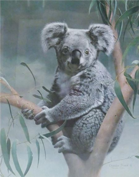 Michael Trace | Biography