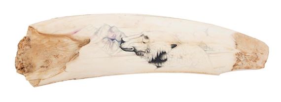 Walrus Tusk | ESKIMO ENGRAVED WALRUS TUSK FRAGMENT (20th Century ...