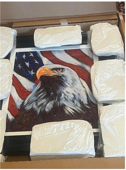 Stephen Fishwick | Eagle Eyed American (2019) | MutualArt