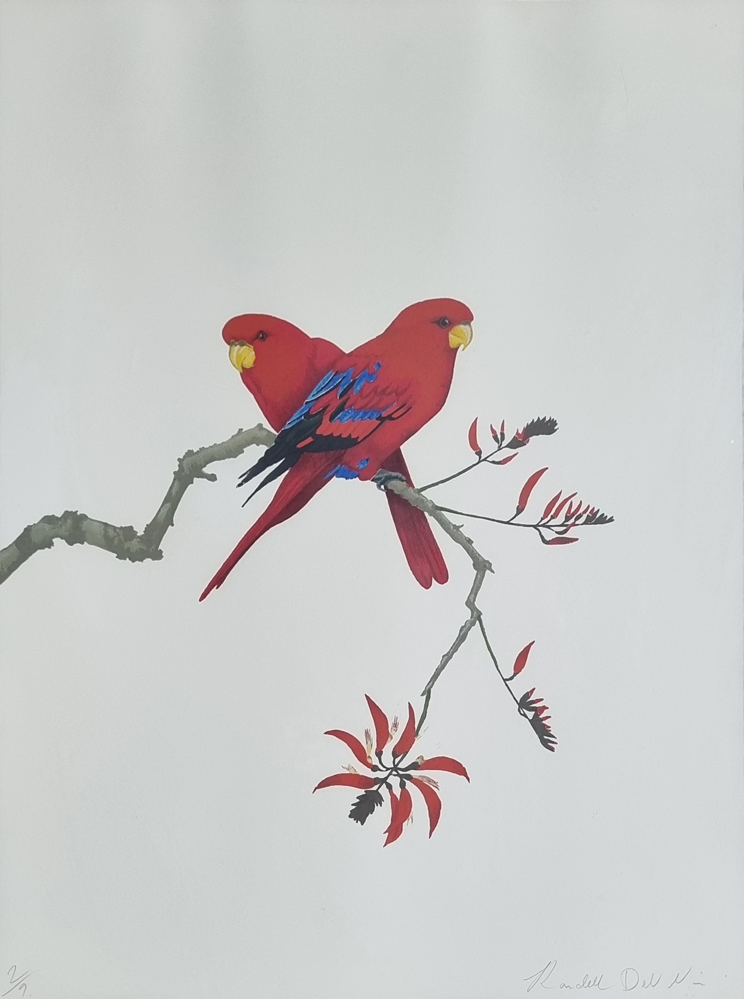 Randall Del Nin | untitled (Red Parrots) | MutualArt