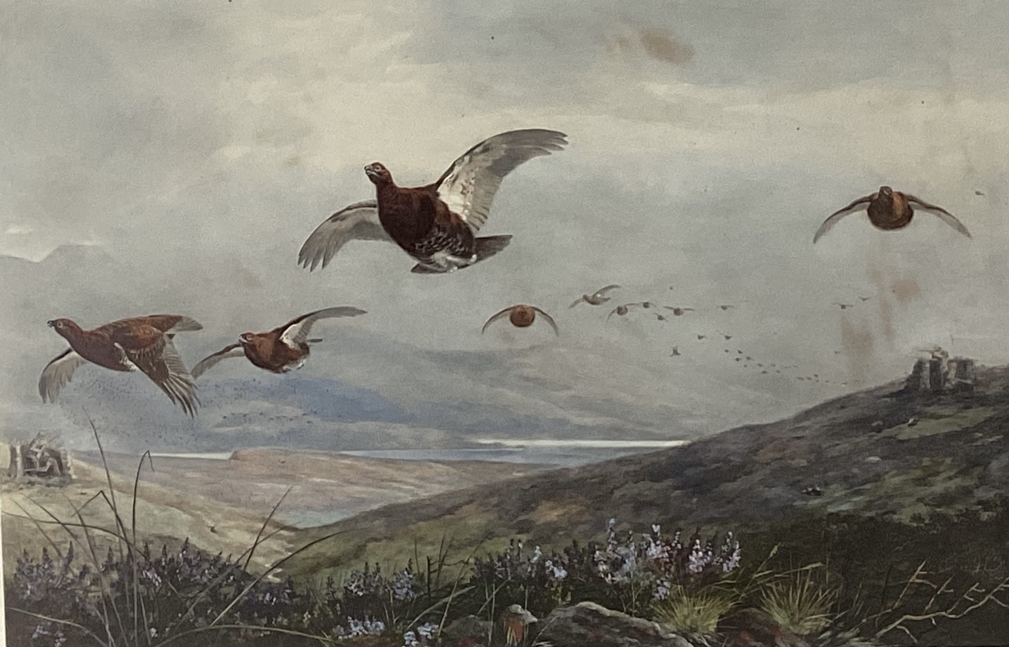 Archibald Thorburn | three prints | MutualArt