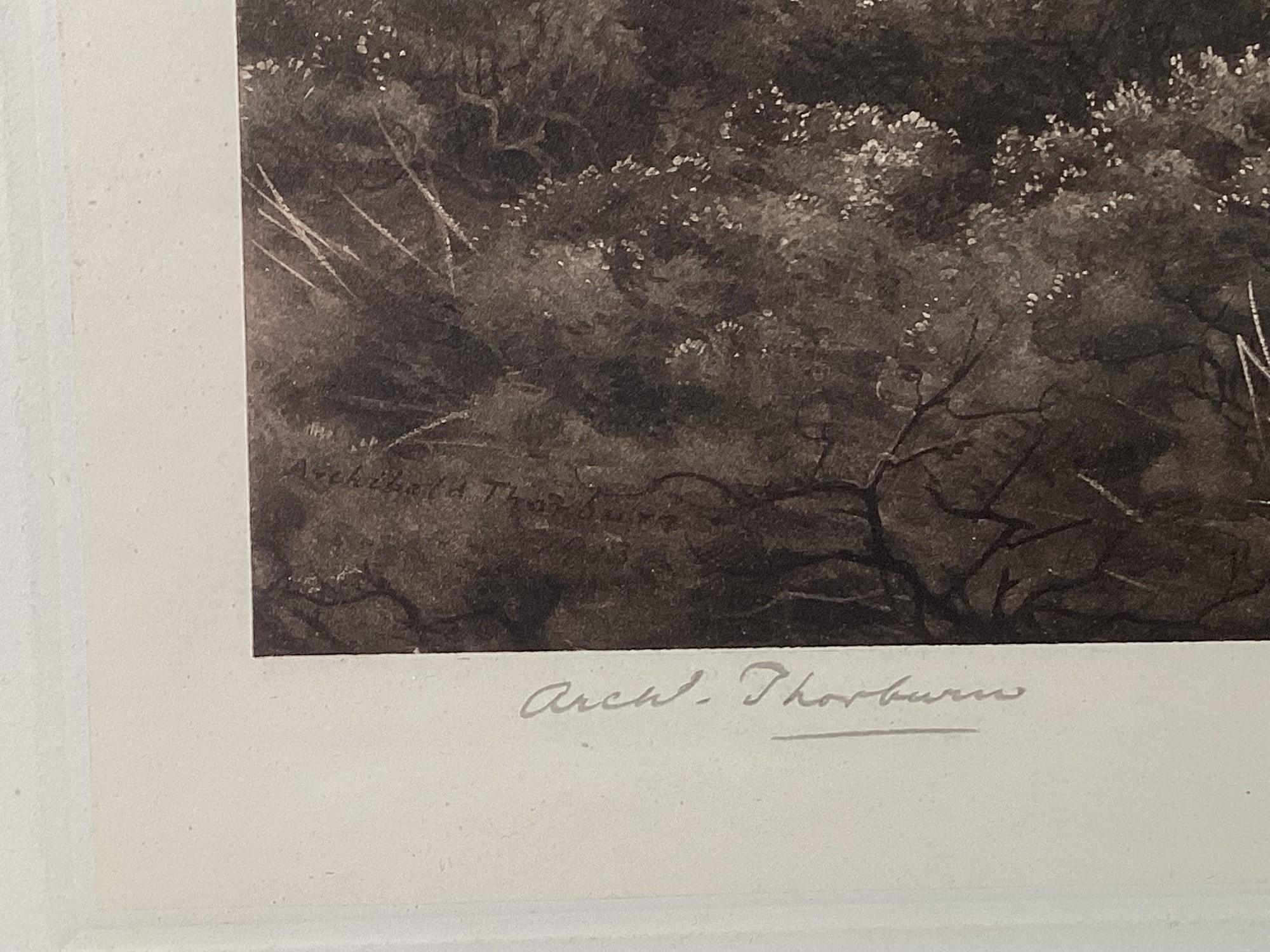 Archibald Thorburn | three prints | MutualArt