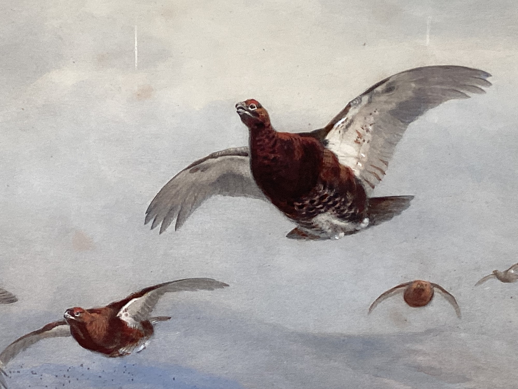 Archibald Thorburn | three prints | MutualArt