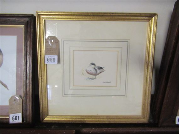 Mandy E. Shepherd | TWO MANDY SHEPHERD BIRD PICTURES | MutualArt