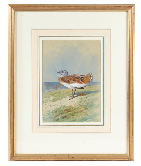 Archibald Thorburn | ARCHIBALD THORBURN (BRITISH | MutualArt