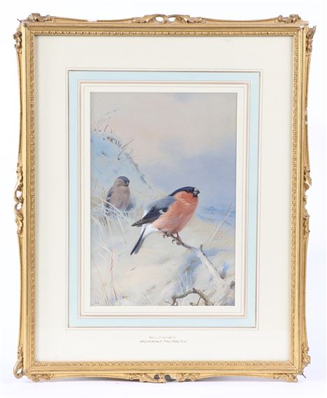Archibald Thorburn | ARCHIBALD THORBURN (BRITISH | MutualArt