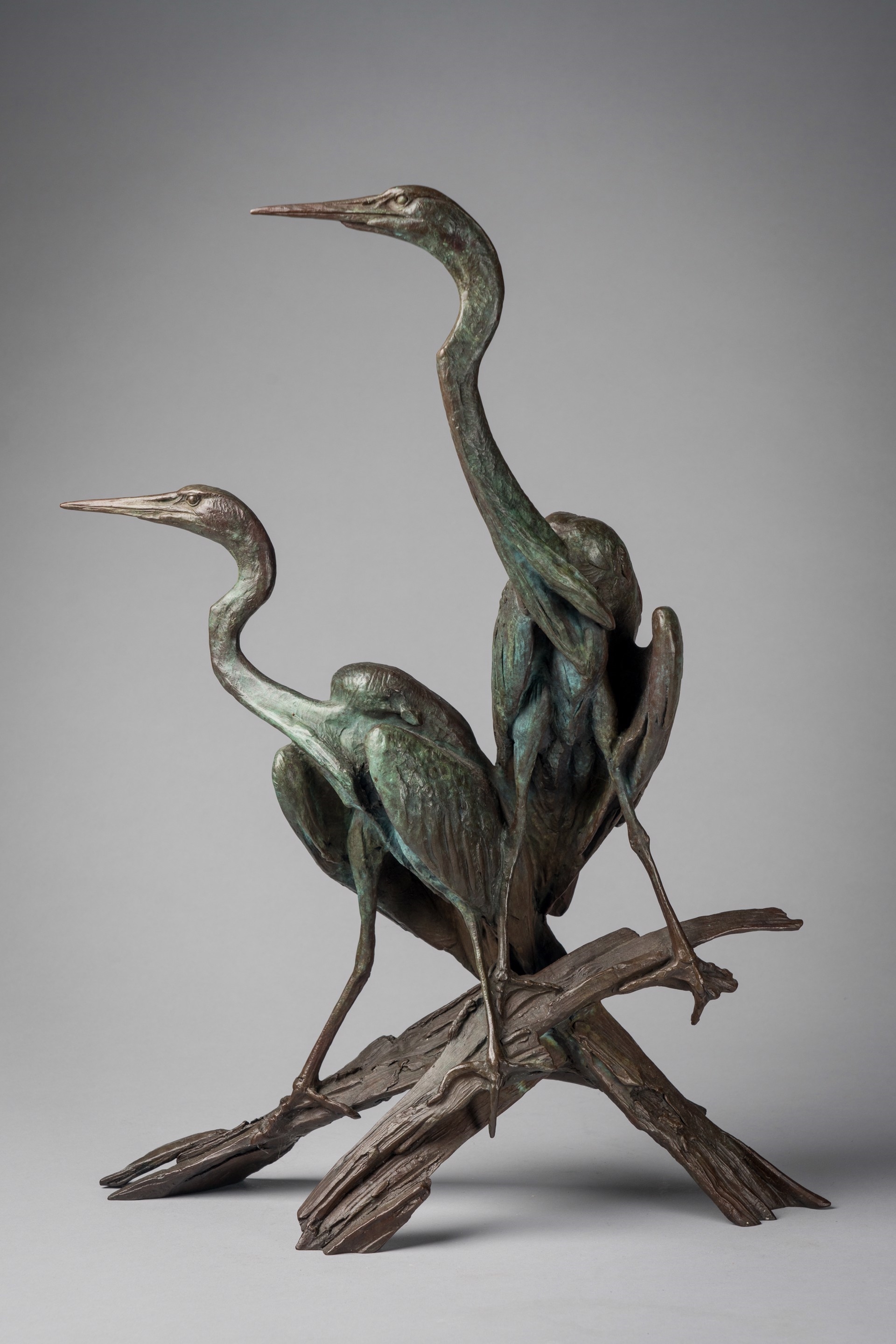 Walter Matia | Common Egret Pair (2001) | MutualArt