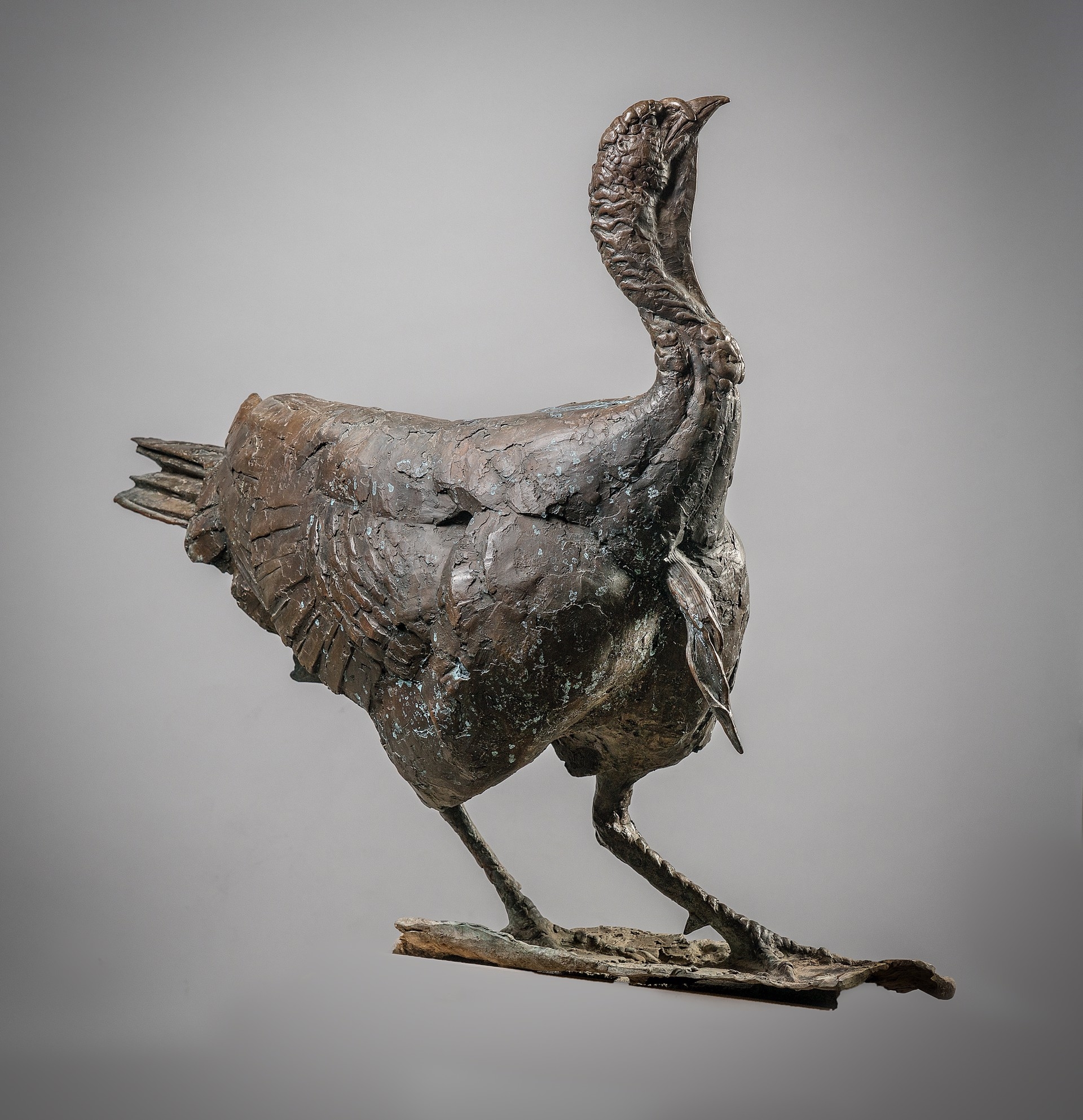 Walter Matia | Turkey | MutualArt