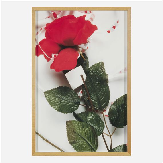 Georgina Starr | #47 Rose from the Clairvoyant (1994) | MutualArt
