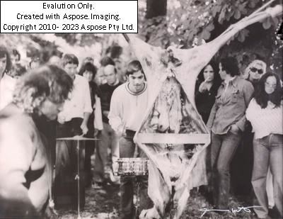 Hermann Nitsch | Hermann Nitsch (1975) | MutualArt