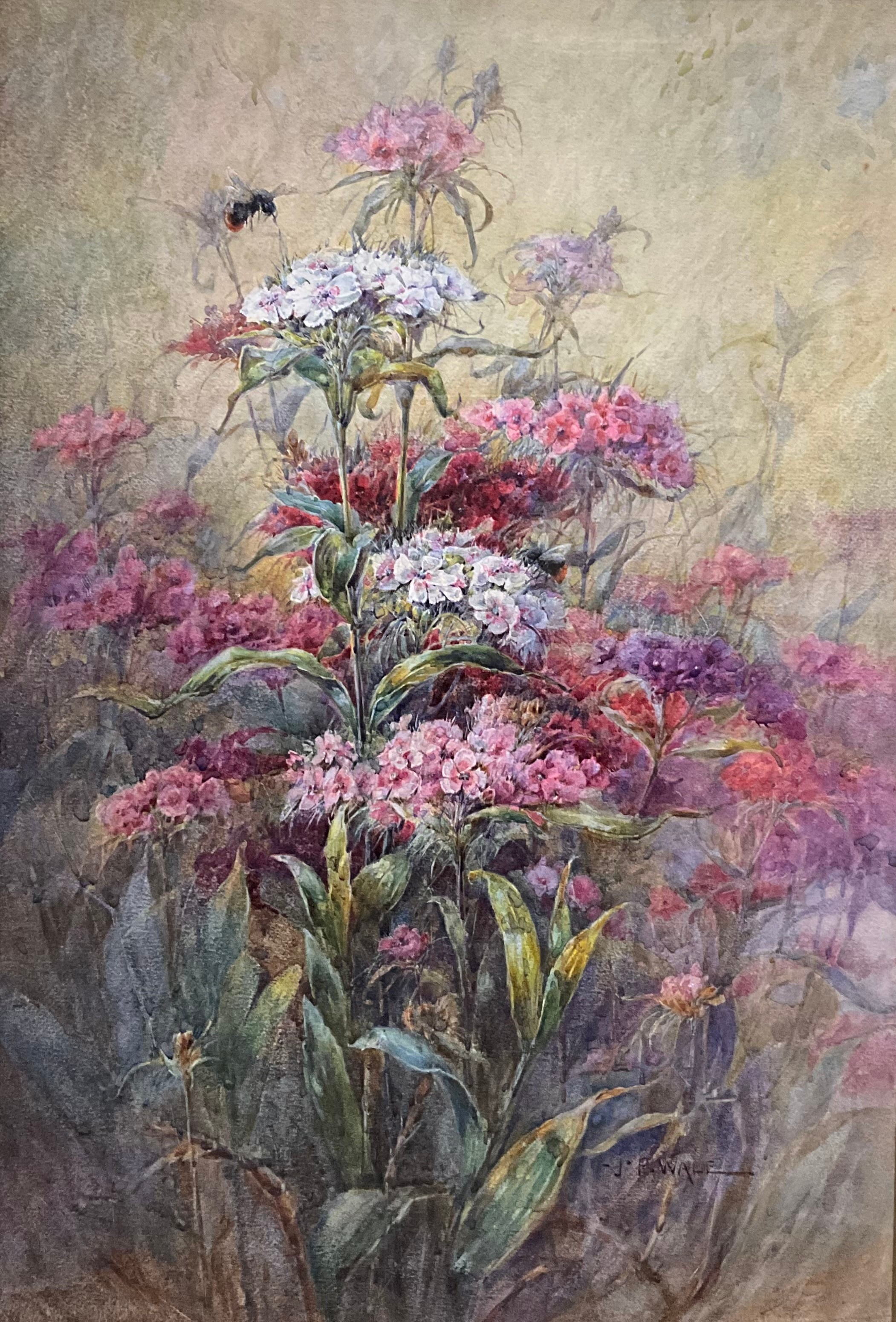 John Porter Wale | Red-tailed Bumblebees and Sweet Williams | MutualArt