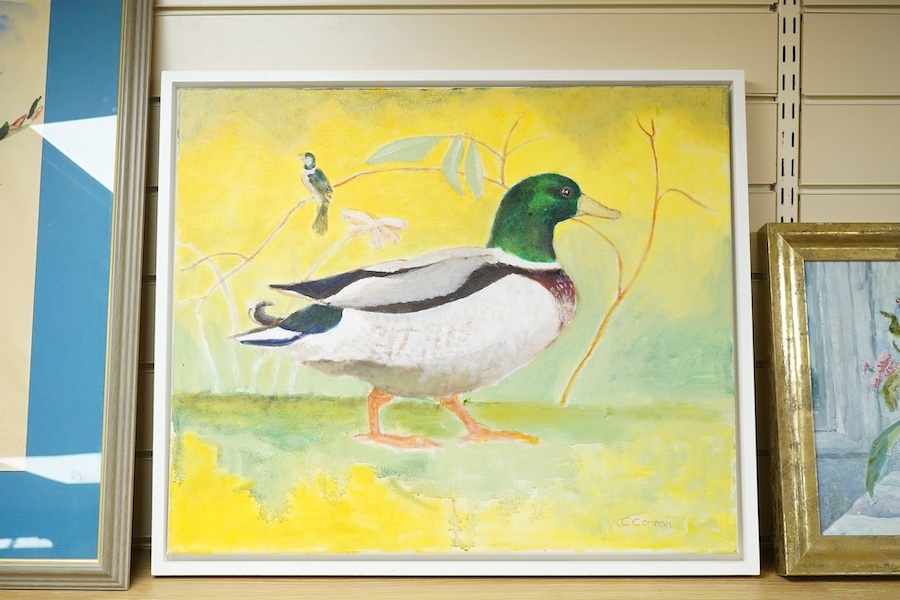 Caroline Conran | Study of a duck | MutualArt