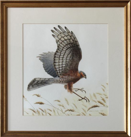 Laurel Tucker | 6 Artworks at Auction | MutualArt