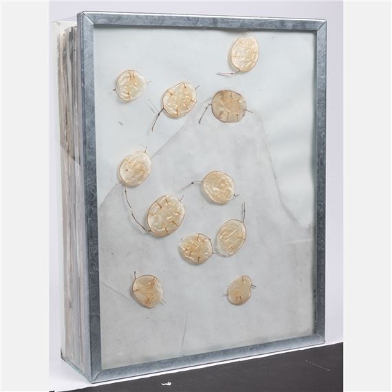 Emil Lukas | Seed Packet (1989) | MutualArt