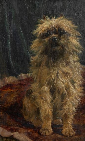 Charles Boland de Spa | Portrait Of A Brussels Griffon On A Cushion ...