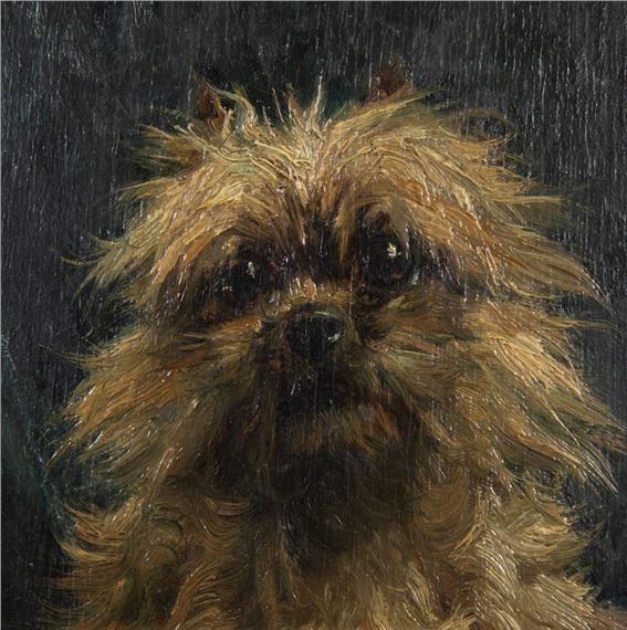 Charles Boland de Spa | Portrait Of A Brussels Griffon On A Cushion ...
