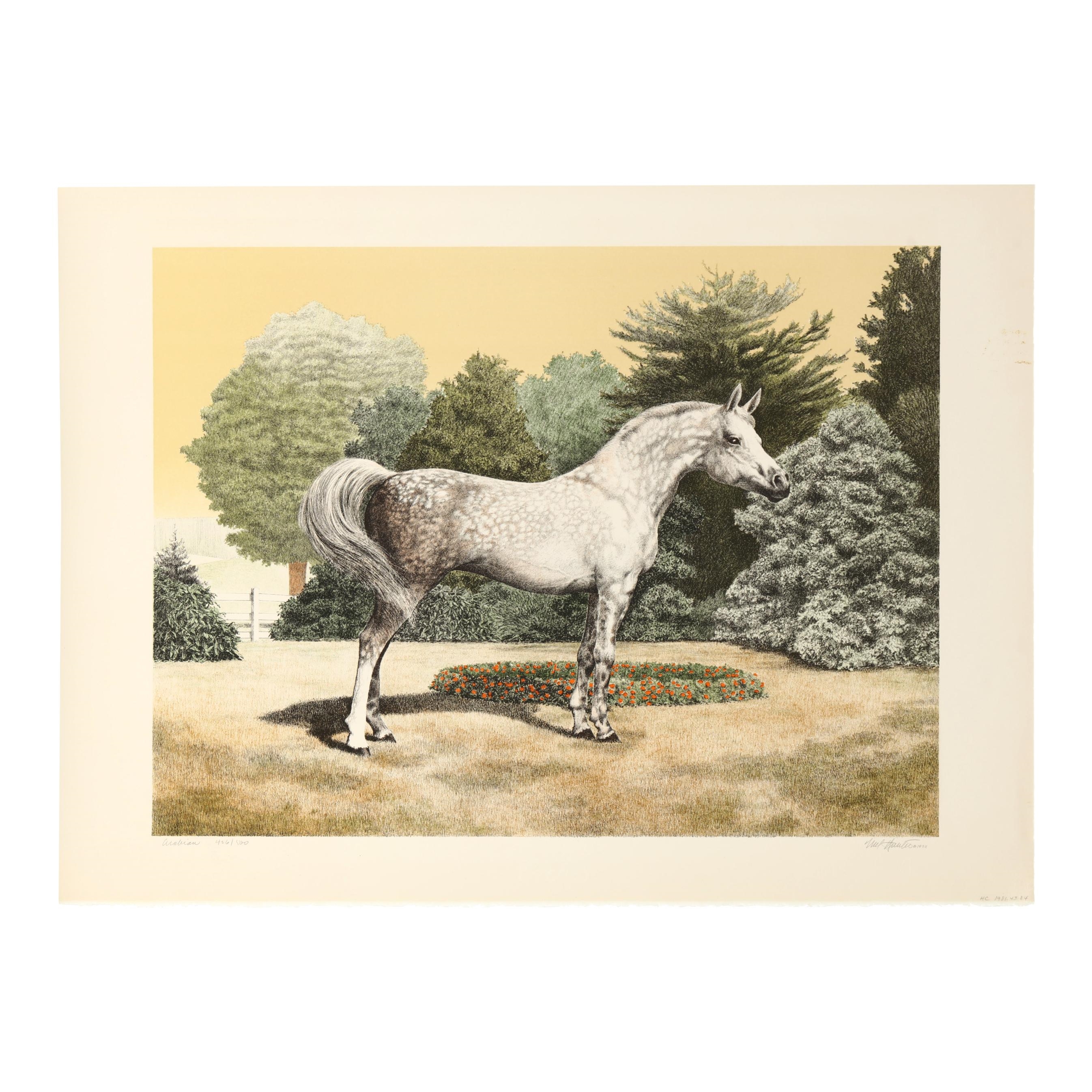 Mel Hunter | Set of Ten Horse Breed Lithographs (1974) | MutualArt