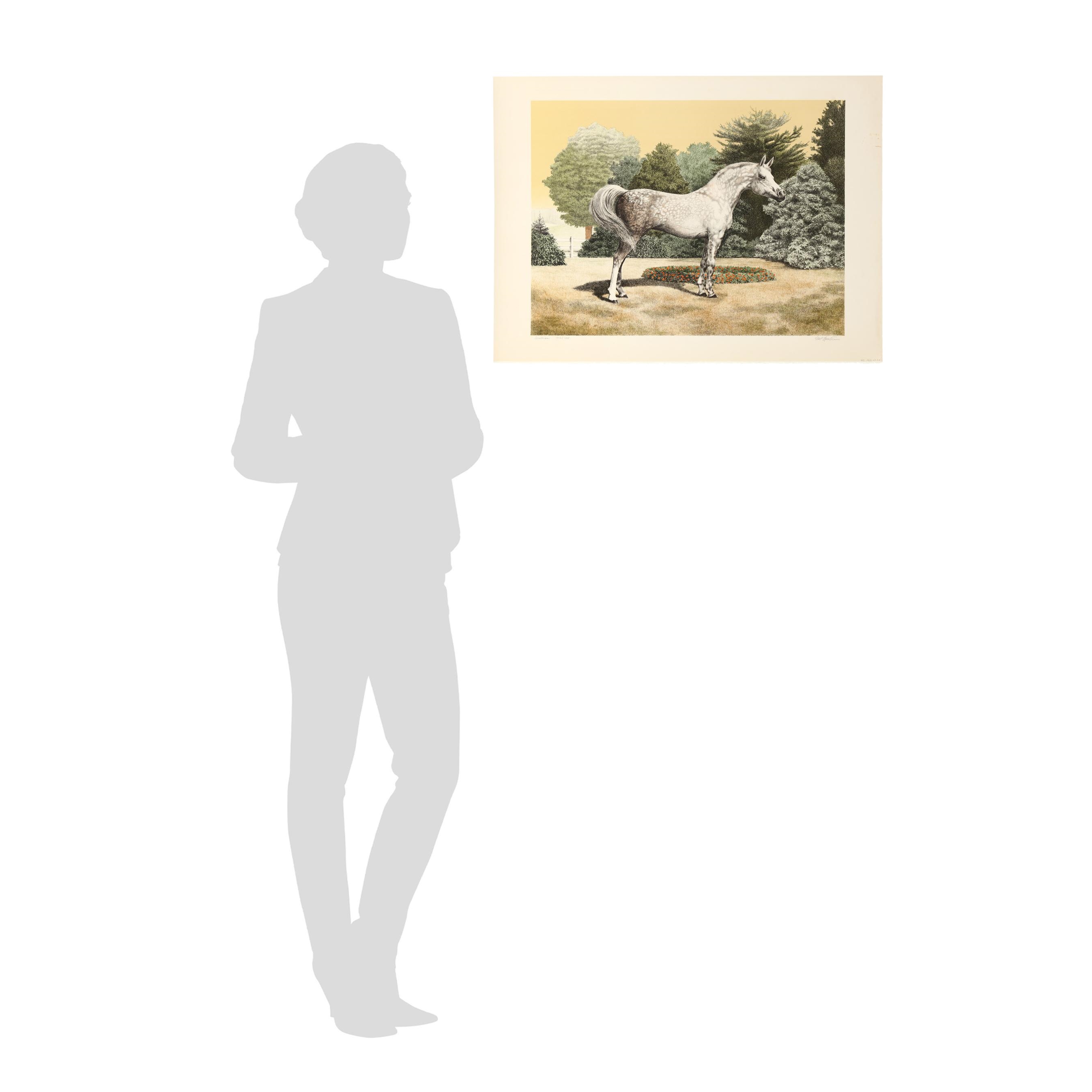 Mel Hunter | Set of Ten Horse Breed Lithographs (1974) | MutualArt