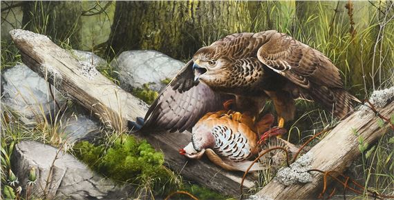 Terence Lambert | Buzzard and a Red-Legged Partridge (1993) | MutualArt