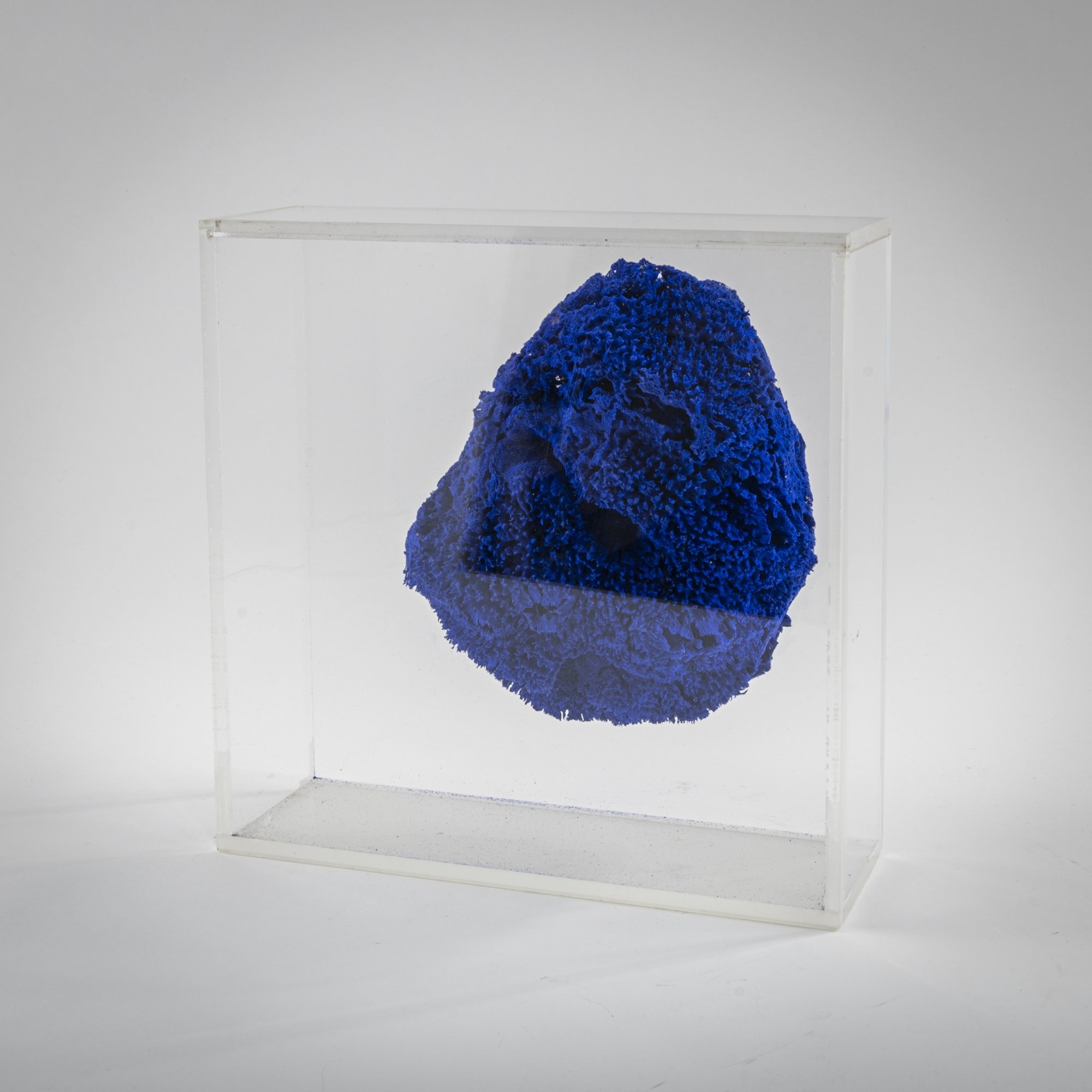 Yves Klein | Sponge in Plexiglas box in Yves Klein Blue (1990s) | MutualArt