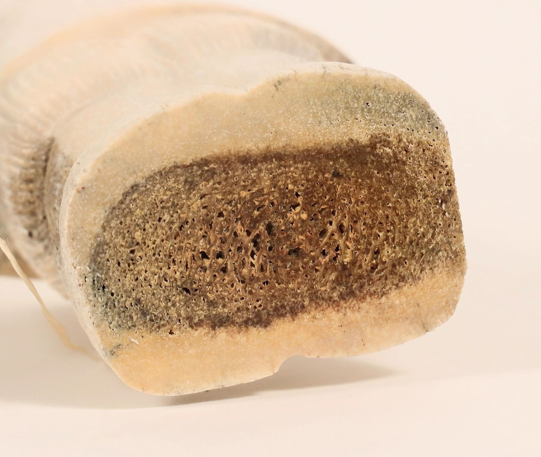 Inuit School | Inuit Bone Carving | MutualArt