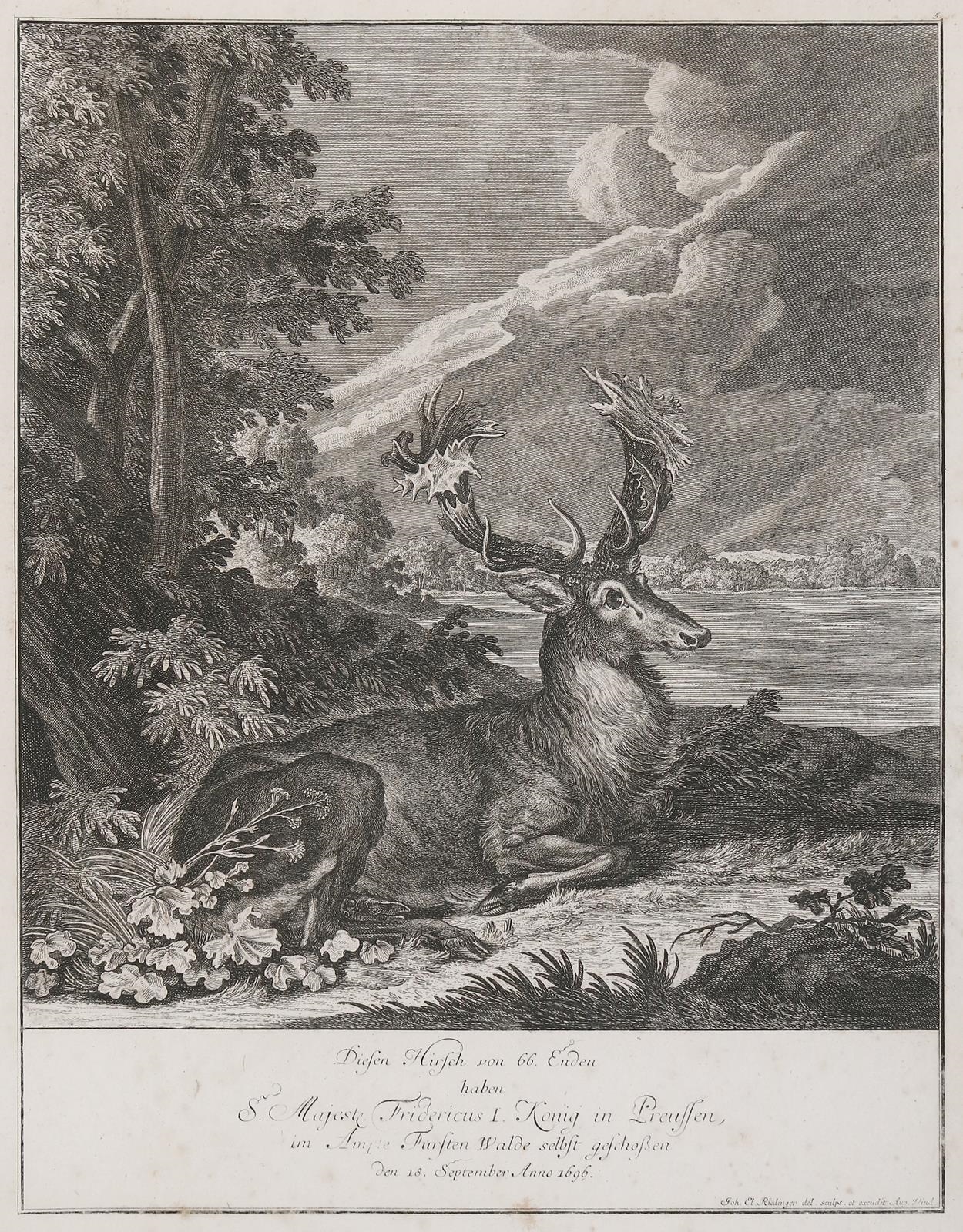 Johann Elias Ridinger | 15 Bl | MutualArt