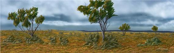 Derek Powell-Jones | Flatlands of Purramoota Station | MutualArt