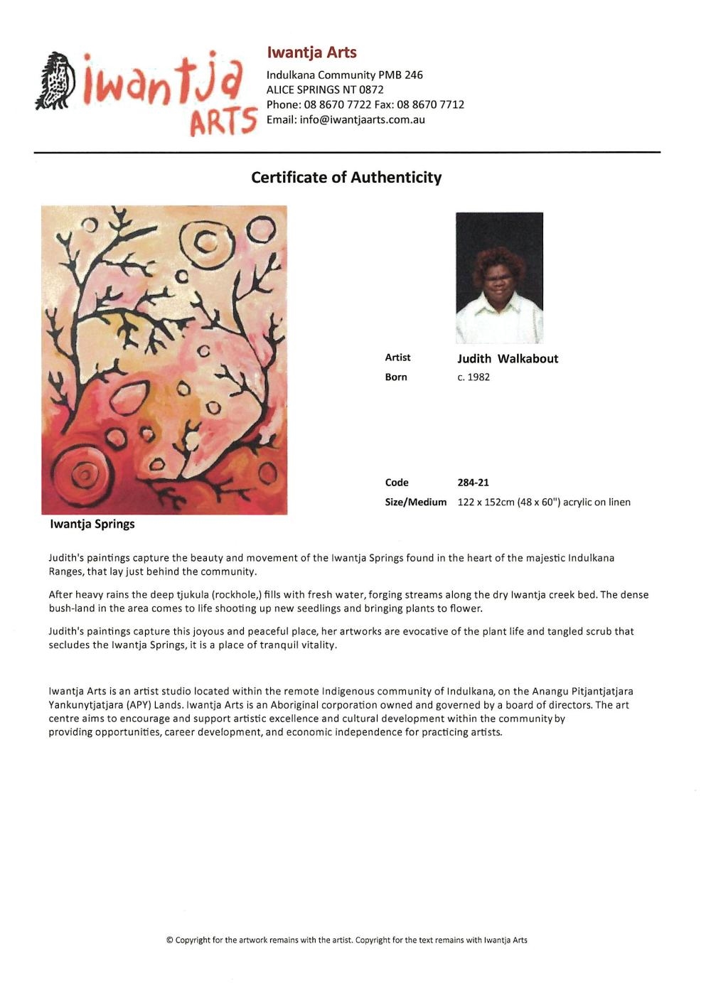 Judith Walkabout | The dense bush-land in the area comes to life ...