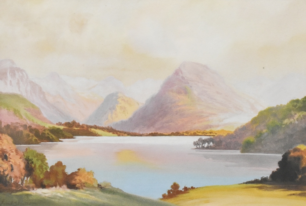 Roland Stead | Loweswater | MutualArt