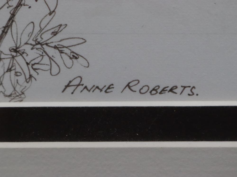 Anne Roberts | ANNE ROBERTS | MutualArt