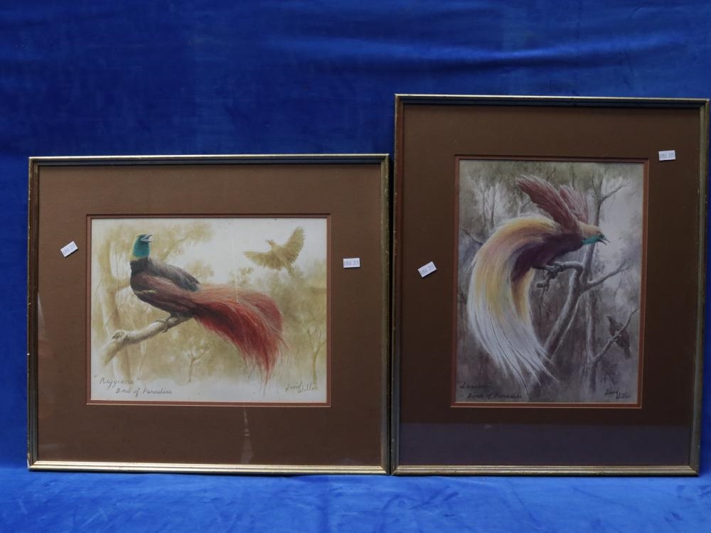 David Willis | TWO BIRD OF PARADISE PRINTS BY DAVID WILLIS | MutualArt