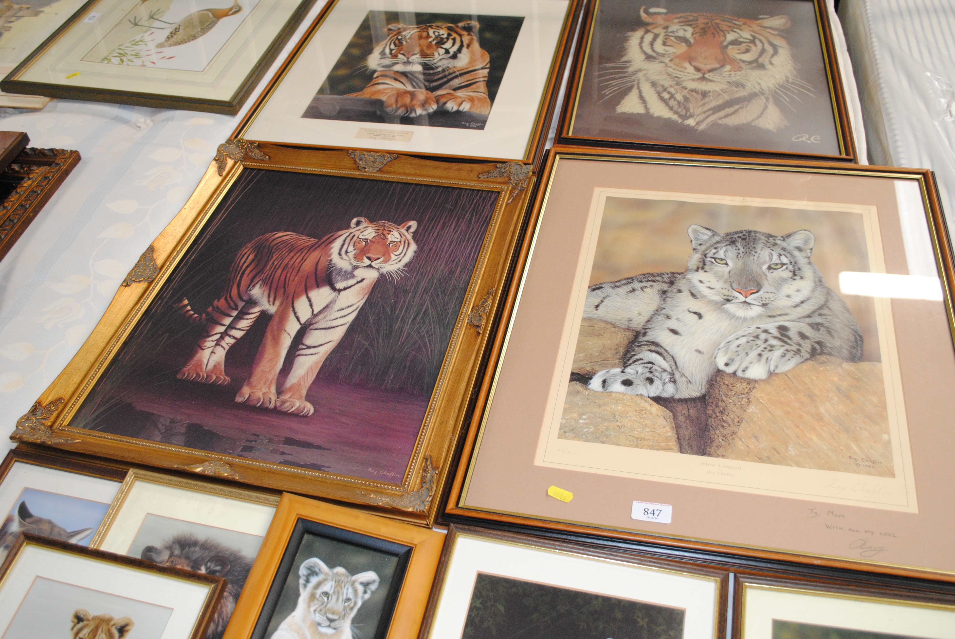 Roy Chaffin | A collection of Roy Chaffin wildlife prints | MutualArt
