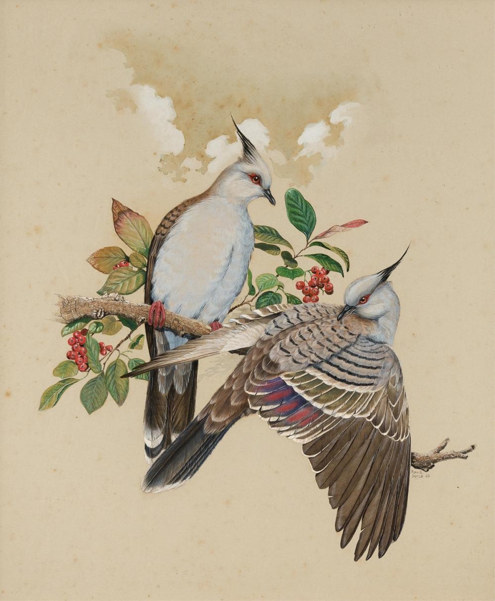Roy B. Doyle | Birds (1969) | MutualArt