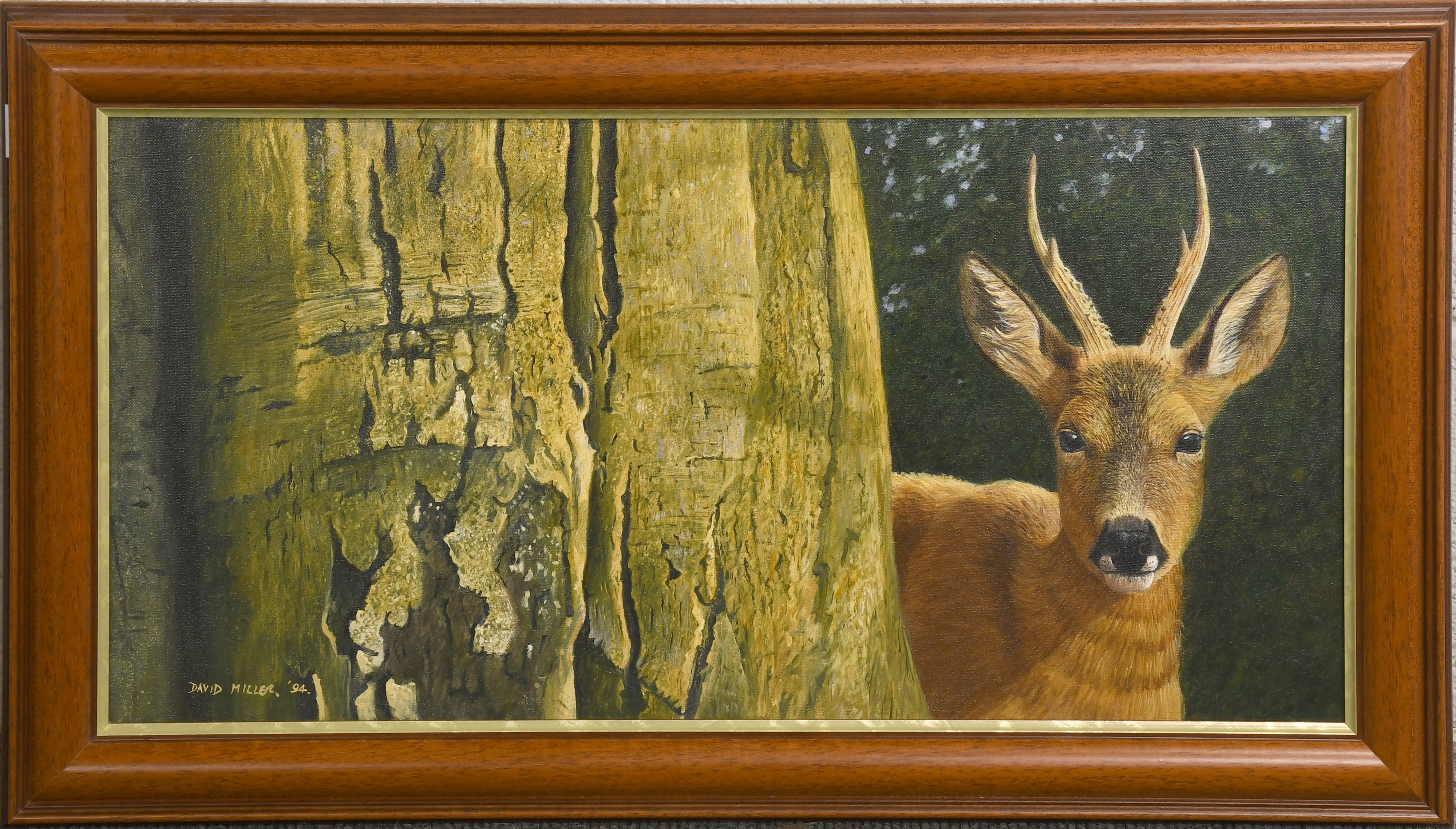 David Miller | Roebuck emerging from behind a tree | MutualArt