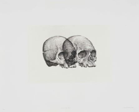 Gerhard Marx | Binocular Skull I (2004) | MutualArt