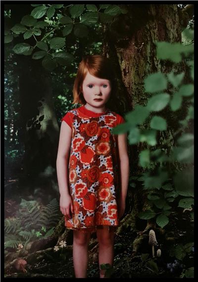 Ruud Van Empel | RUUD VAN EMPEL (1958) | MutualArt