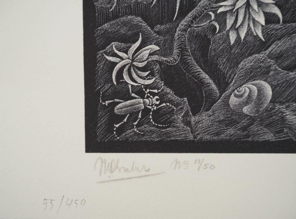 Maurits Cornelis Escher | Maurits Cornelis ESCHER - Italian landscape ...