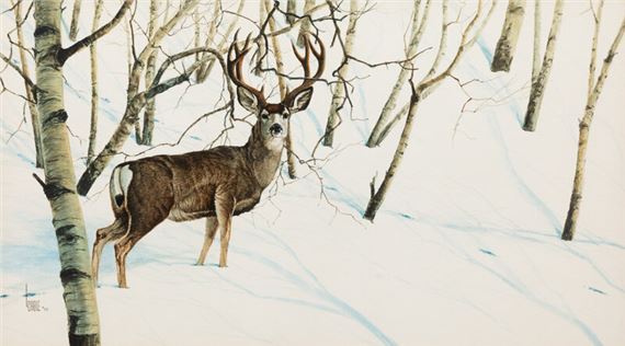Lee Cable | Aspen and Snow - Mule Deer (1979) | MutualArt