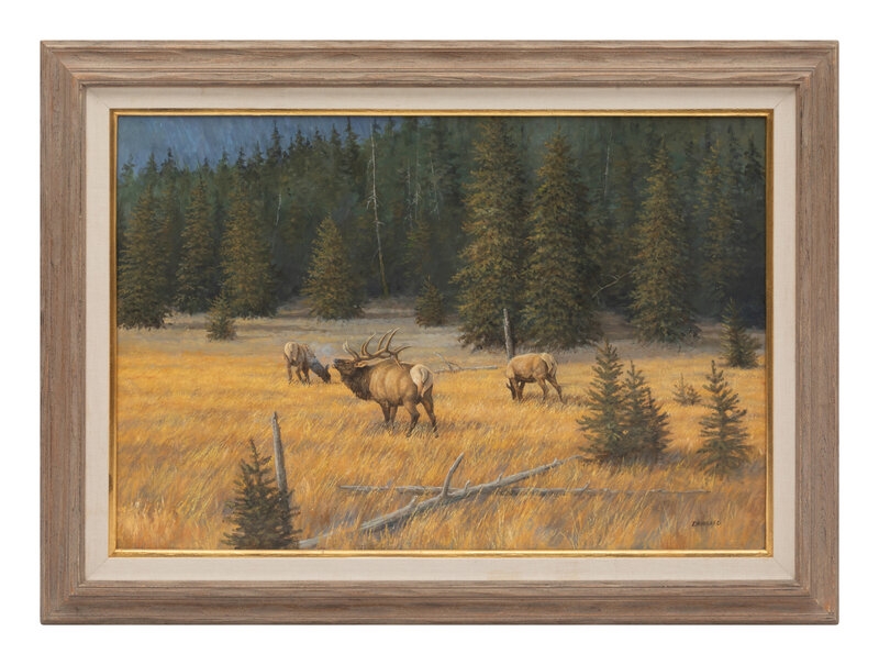 David Drinkard | Morning Challenge | MutualArt