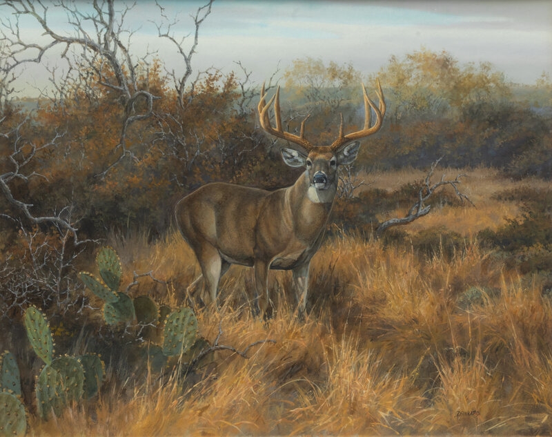 David Drinkard | Brush Country Monarch | MutualArt